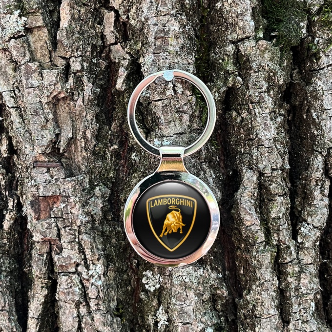 Lamborghini Lamborghini Metal Key Ring Black Gold Tint Shield Design ...